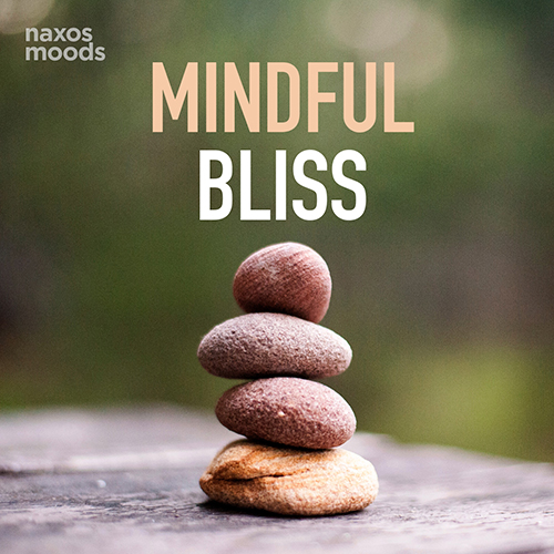 Detalle de contenido | MINDFUL BLISS